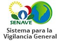 Contactenos – Senave