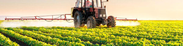 Materiales informativos y de divulgación – Senave