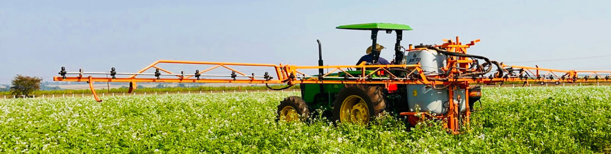 Senave.net – Senave