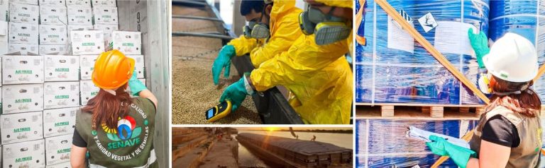 Dirección de Operaciones – Senave